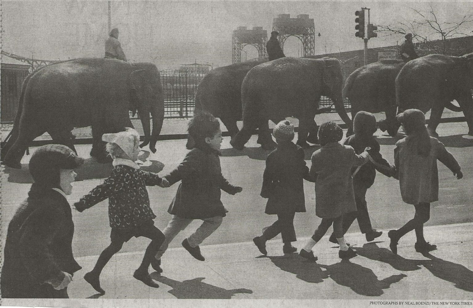 The Elephant Stampede - Charles Levin
